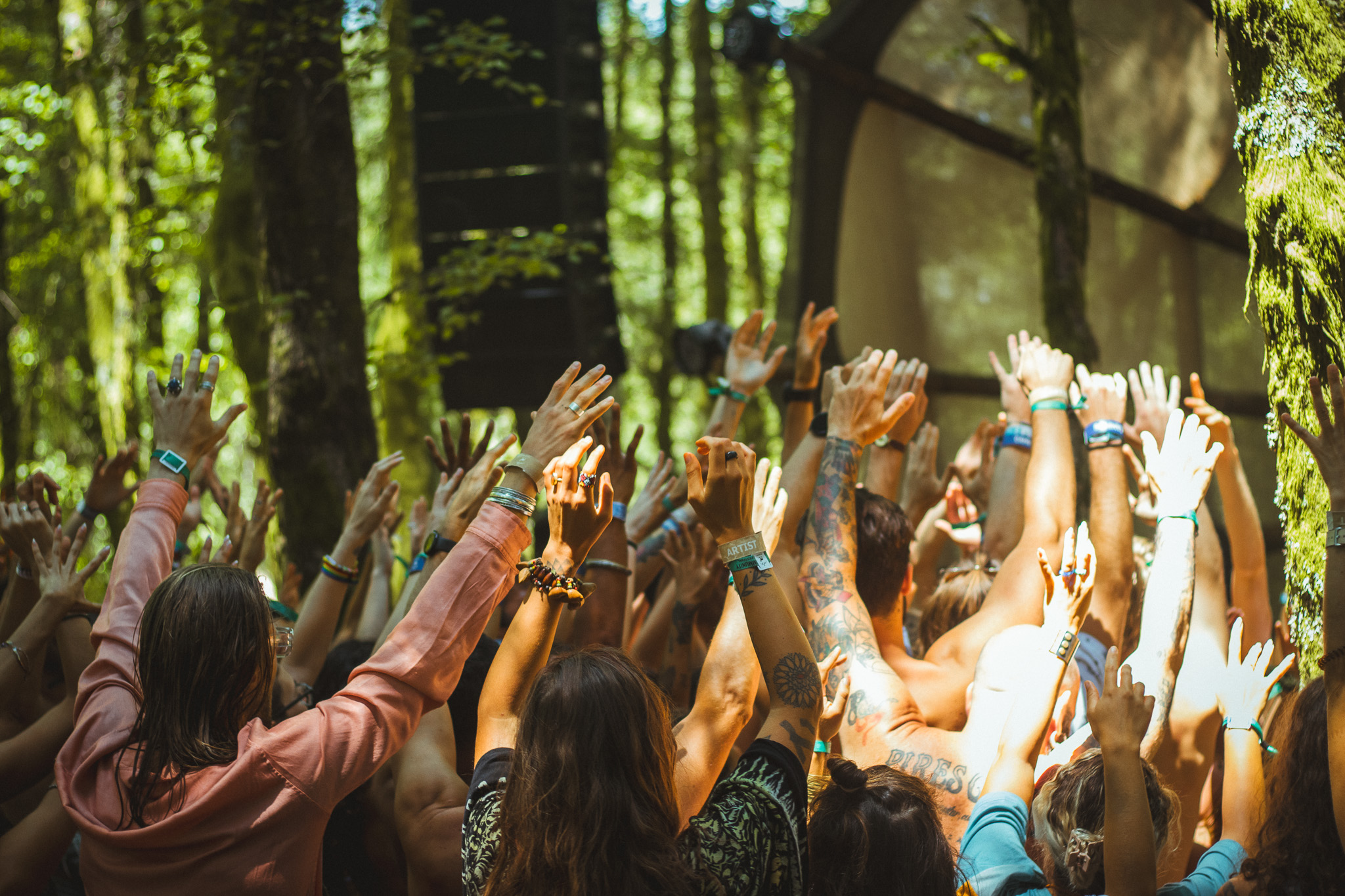 Festival Intimista da Comunidade GOAT 2024 - Jornal de Portugal